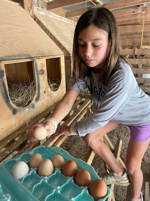 Summer Day Camp : Menagerie Farm