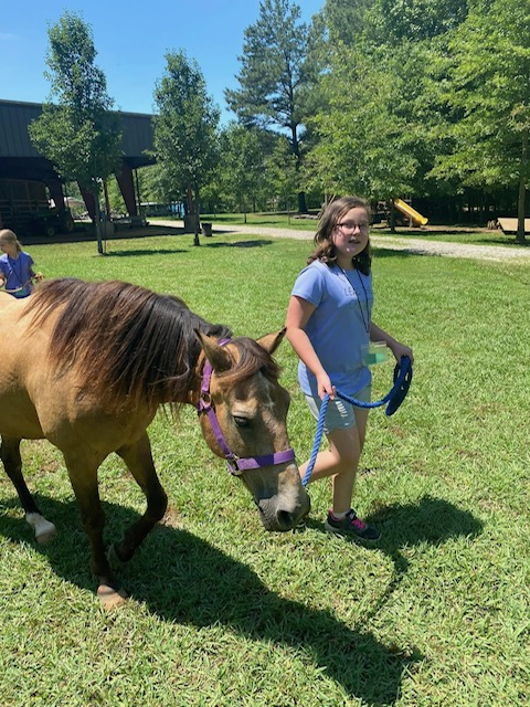IMG_1626 : Menagerie Farm