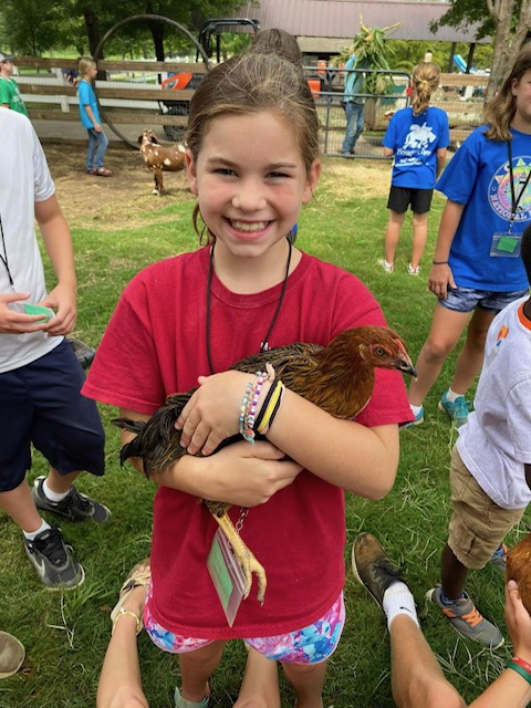 Summer Day Camp : Menagerie Farm